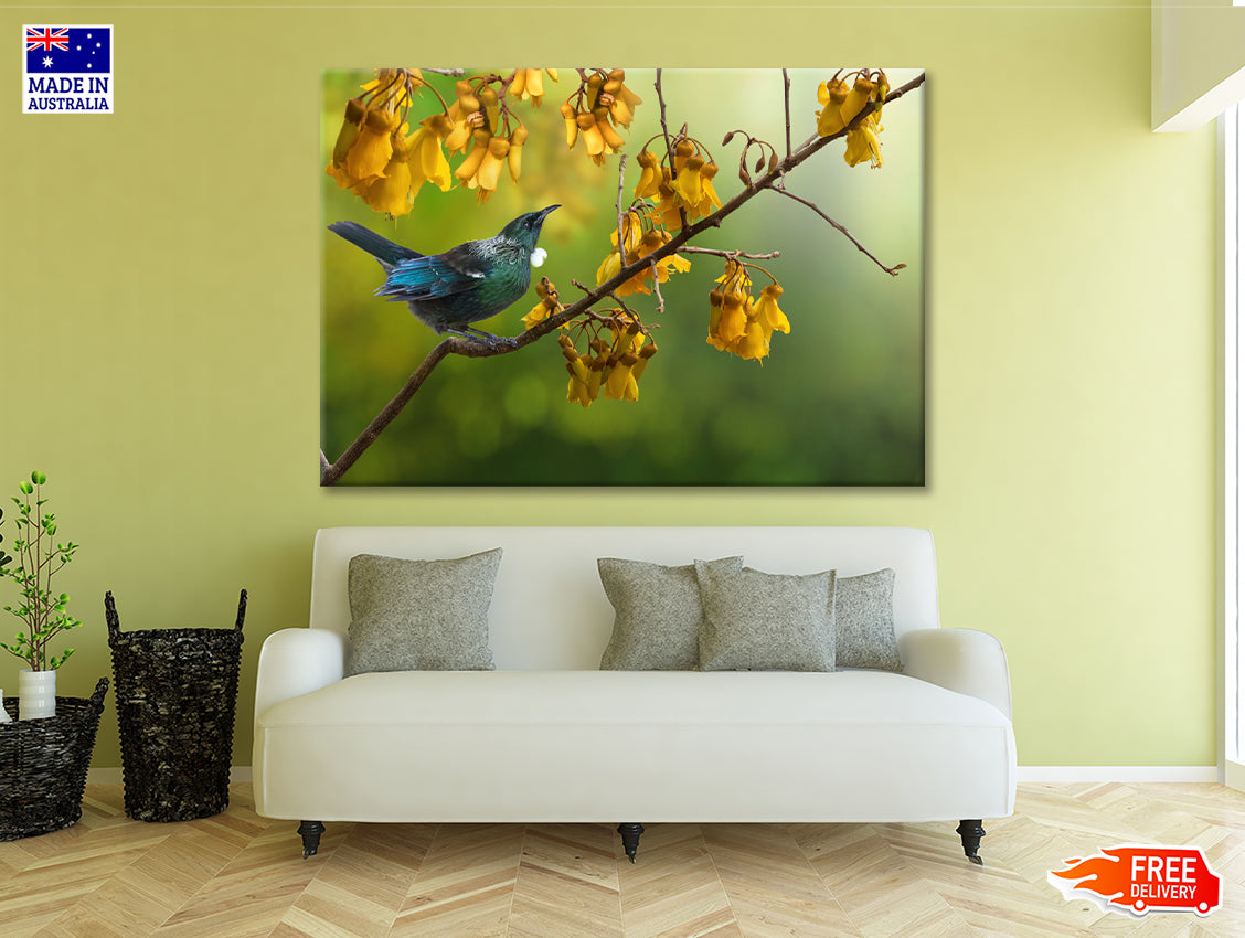 Tui Bird with Kowhai Tree Branch Print 100% Australian Made | Bella ...