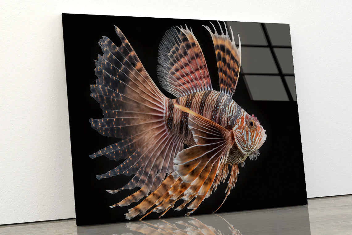 Close up Red Lionfish Acrylic Glass Print Tempered Glass Wall Art 100% ...