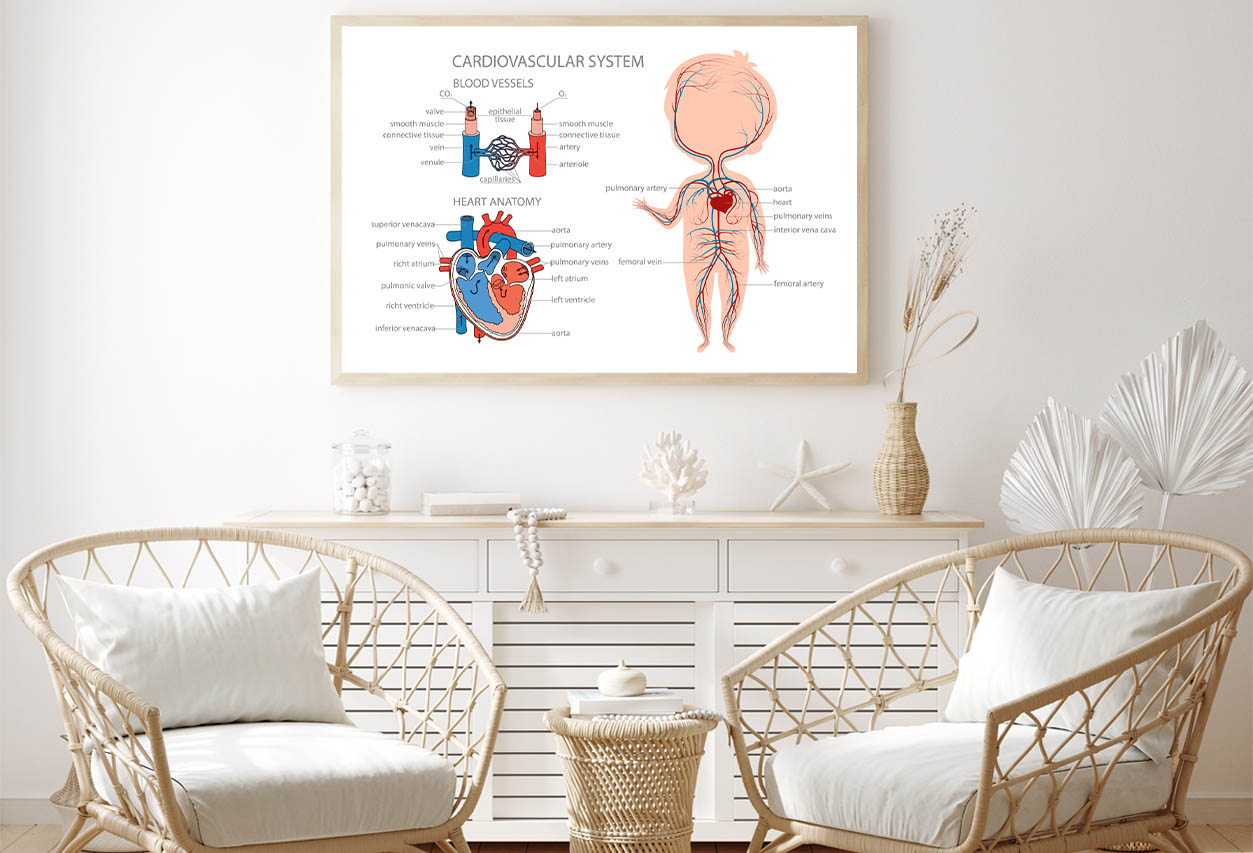 Blood Circulatory System in Kid Body Home Decor Premium Quality Poster ...