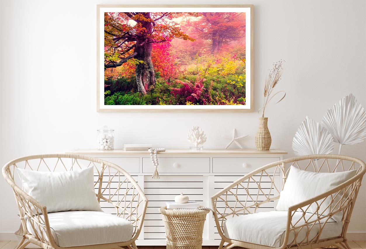 Majestic Landscape with Autumn Trees in Forest Home Decor Premium ...
