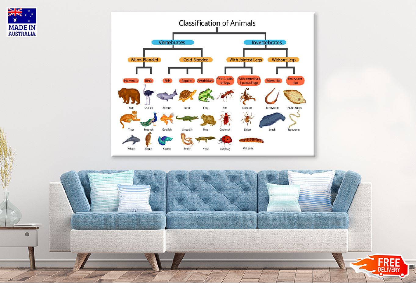 Chart of Biology Animals Diagram Vector Art Print 100% Australian Made ...