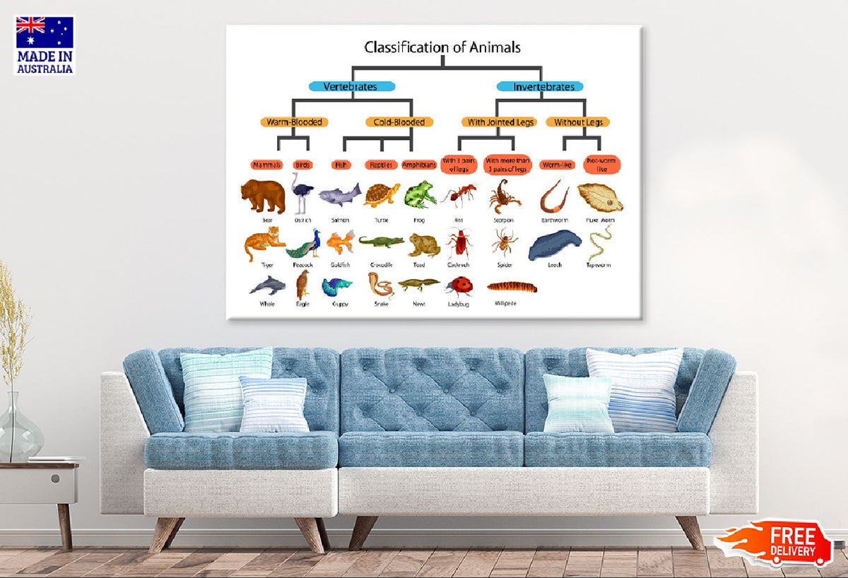 Chart of Biology Animals Diagram Vector Art Print 100% Australian Made ...