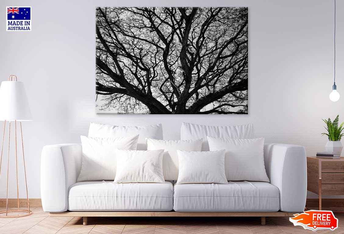 Leafless Tree Branches B&W View Photograph Print 100% Australian Made ...